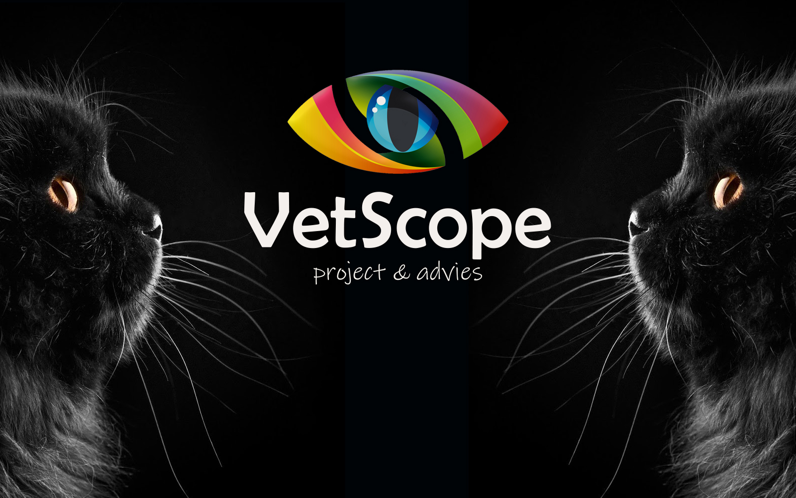 VetScope veterinaire projecten en advies